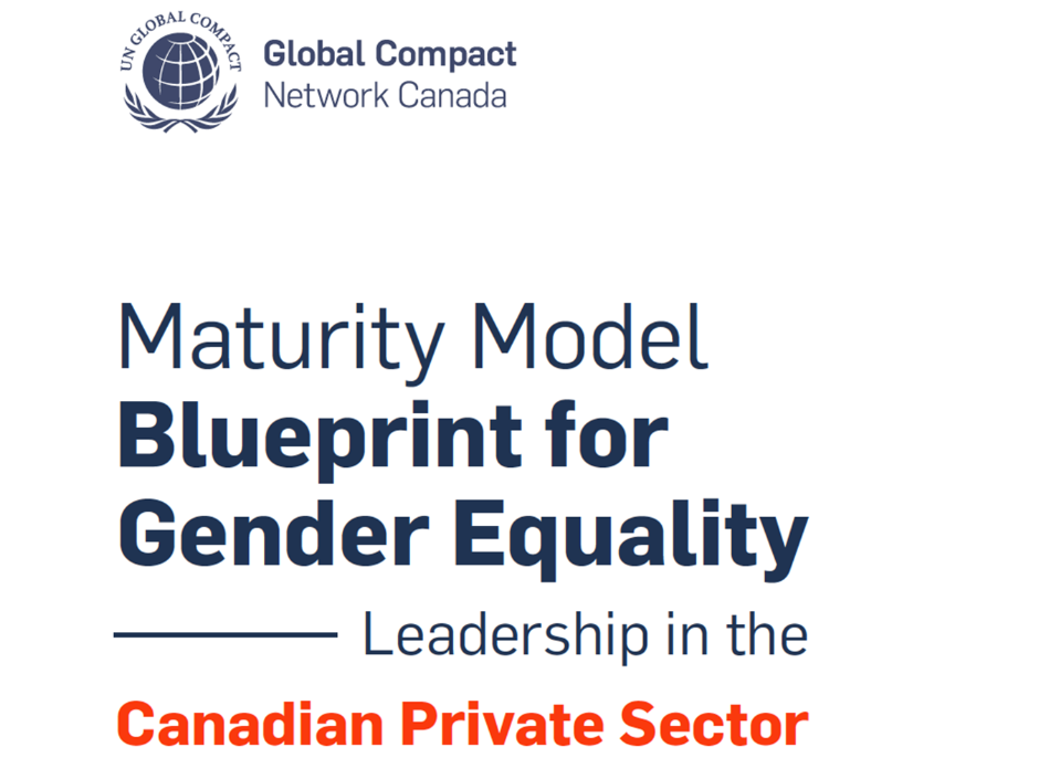 Maturity Model – Blueprint for Gender Equality Leadership | UN Global ...